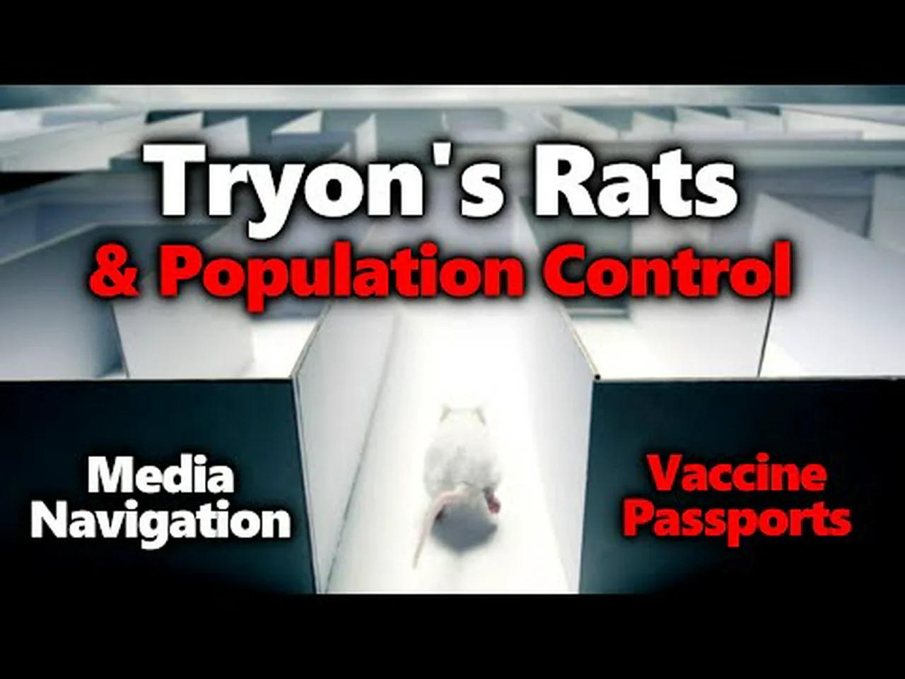 Tryon's Rat Experiment: Selective Breeding & Eugenics In Lockstep With ...