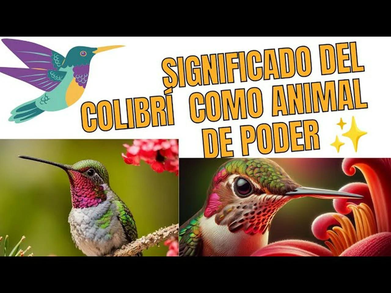 El Colibrí: Significado y Poder Espiritual 🌎🌻#colibri #espiritualidad # ...