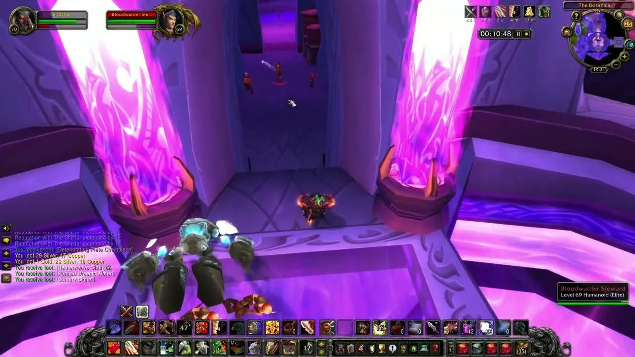 WOW Classic WOTLK Warrior Instance Grind The Botanica