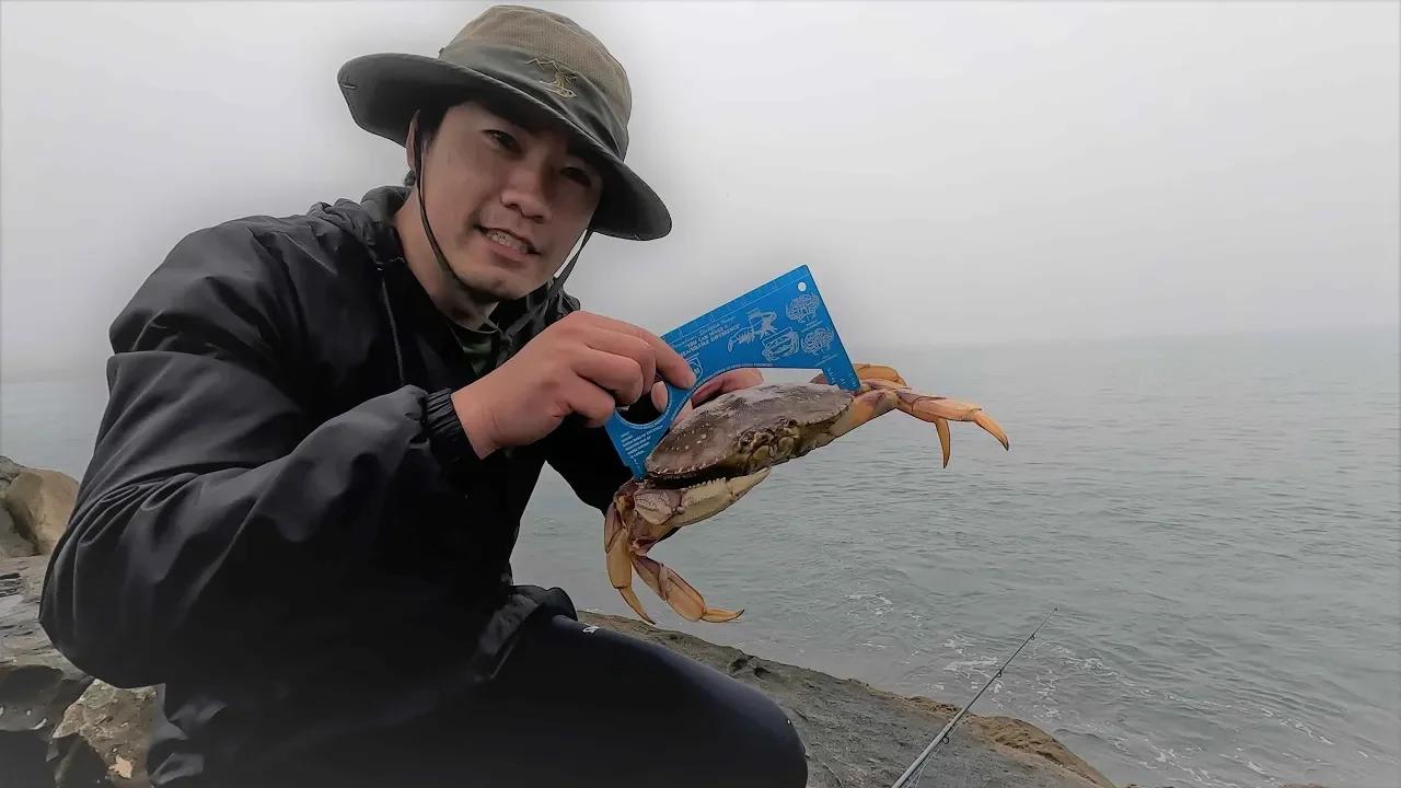 Crab Delights: From Ocean Bounty to Gourmet Feasts!
