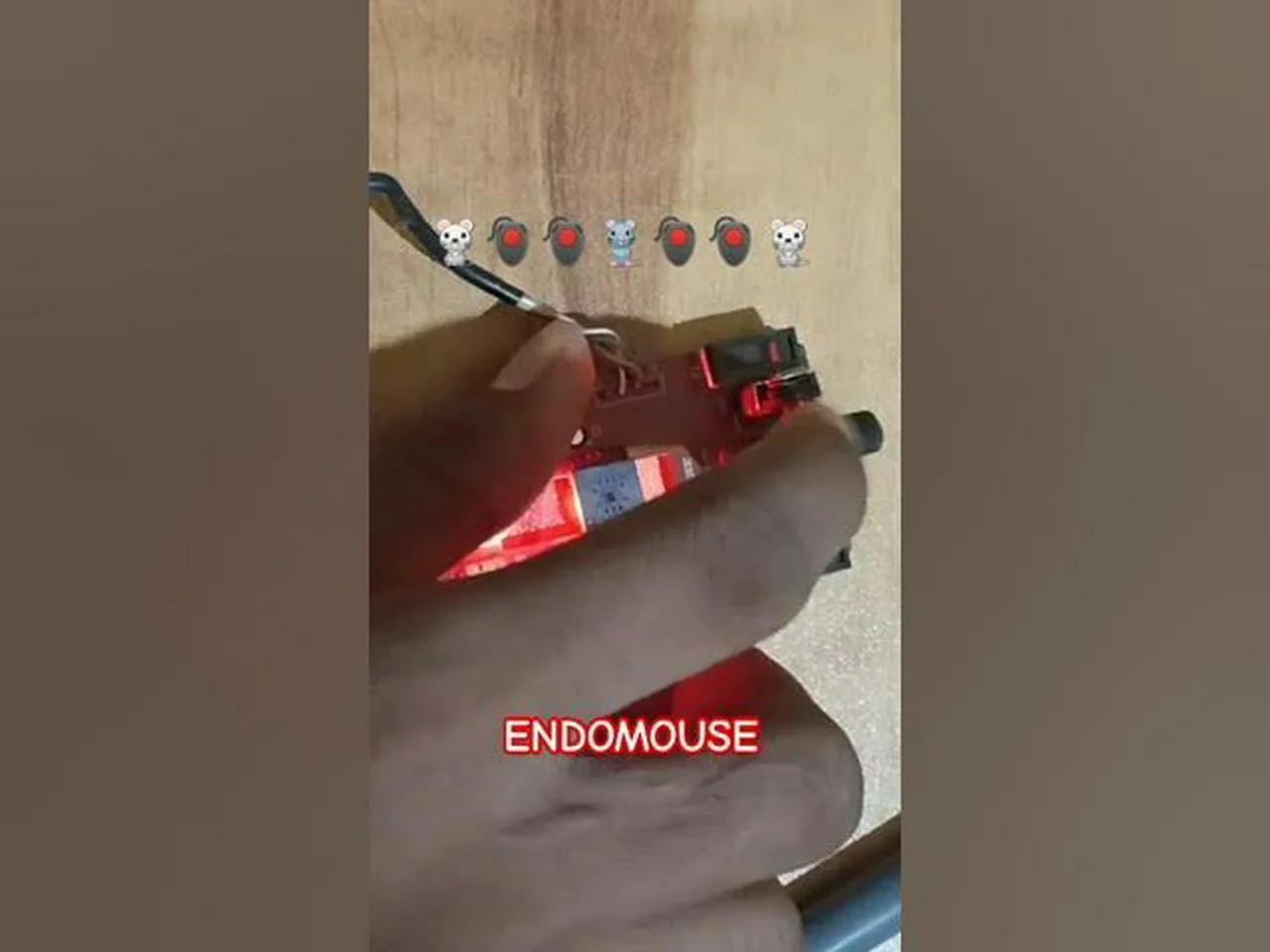 mice inside 💠🖲️🐁🐁🐁🐁🖱️🖱️🖱️