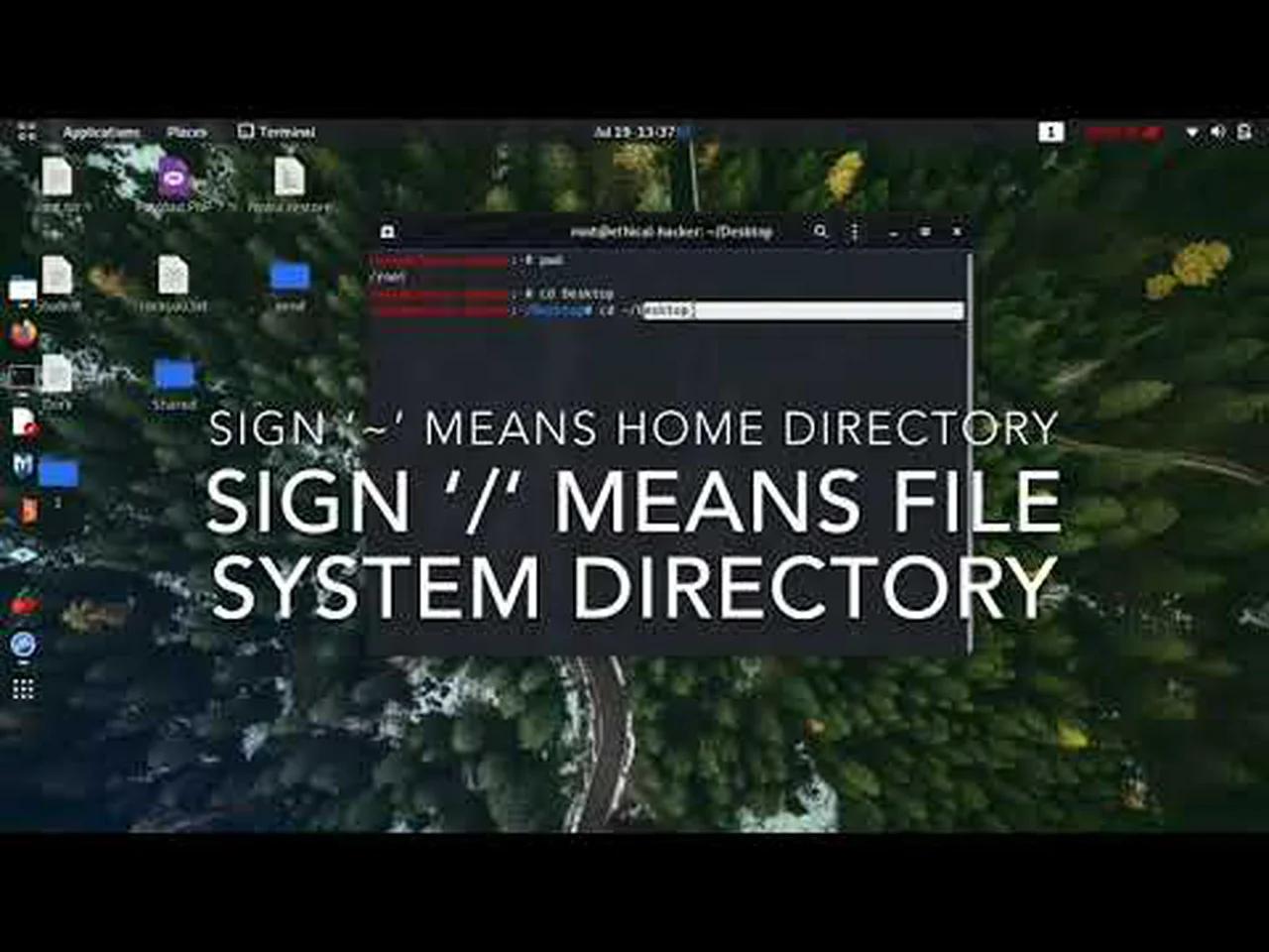Kali Linux Basic Commands | Basic Linux commands you should know for ethical hacking - Lesson 2