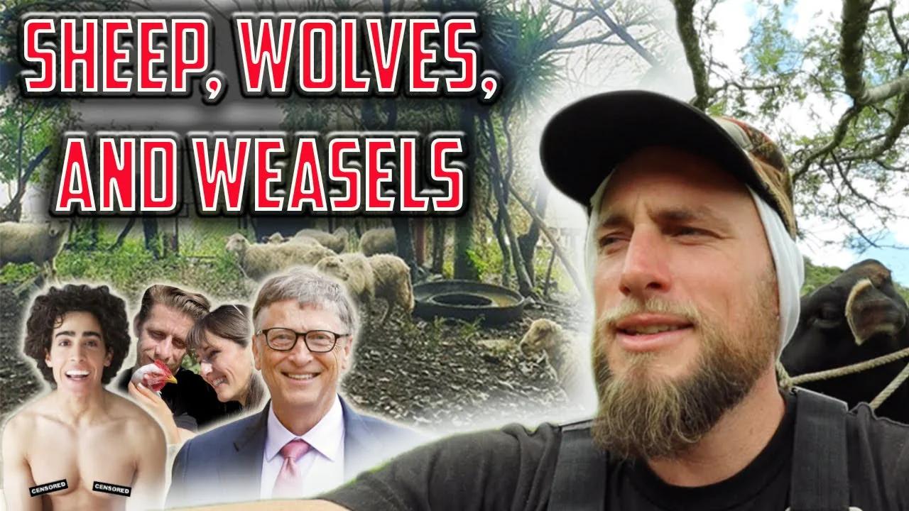 Sheep, Wolves, & Weasels | Meat, Meaning, and Vegans in the new world