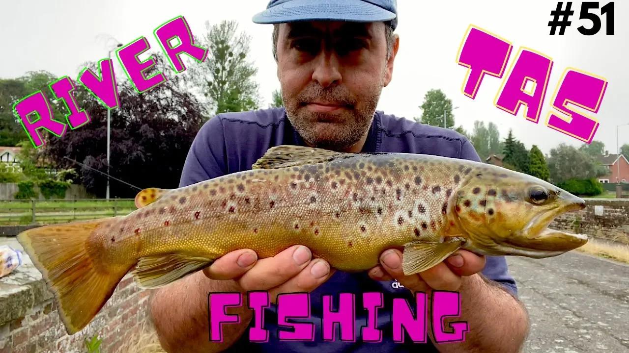 Fishing The River Tas Norfolk UK Freshwater Angling From Bridge Lots Of ...
