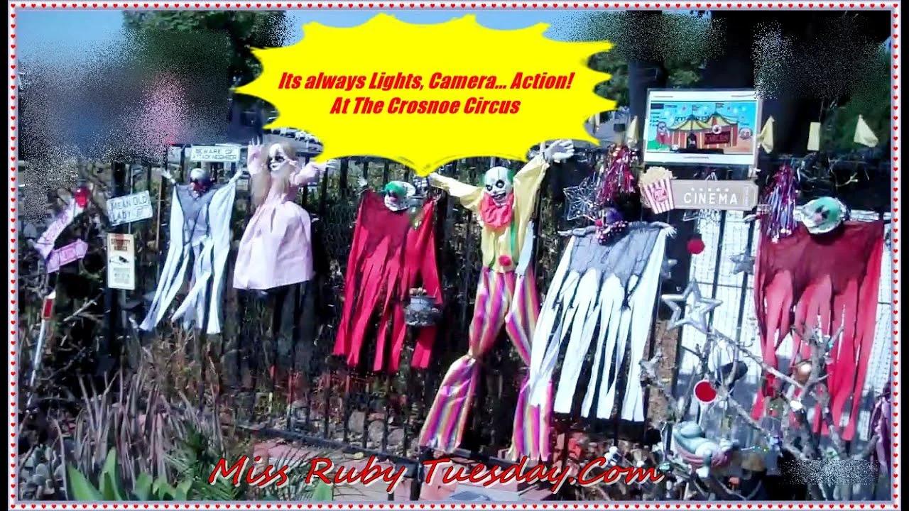 Miss Ruby Tuesday- Its Always Lights Camera Action At The Crosnoe Circus!