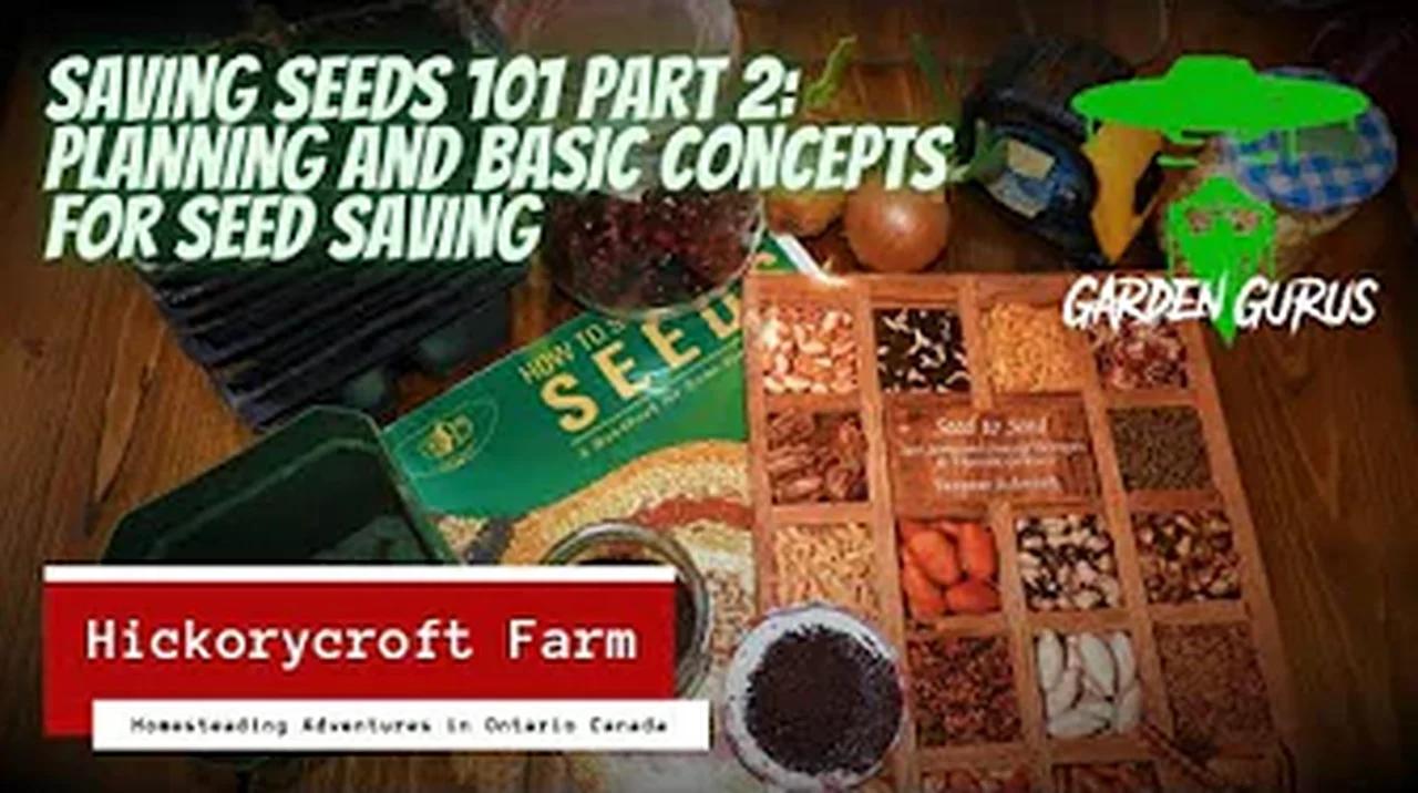 Saving Seeds 101 Part 2: | Planning Concepts For Seed Saving