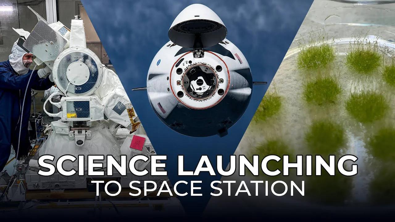 Science Launching on SpaceX's 31st Cargo Resupply Mission to the Space ...