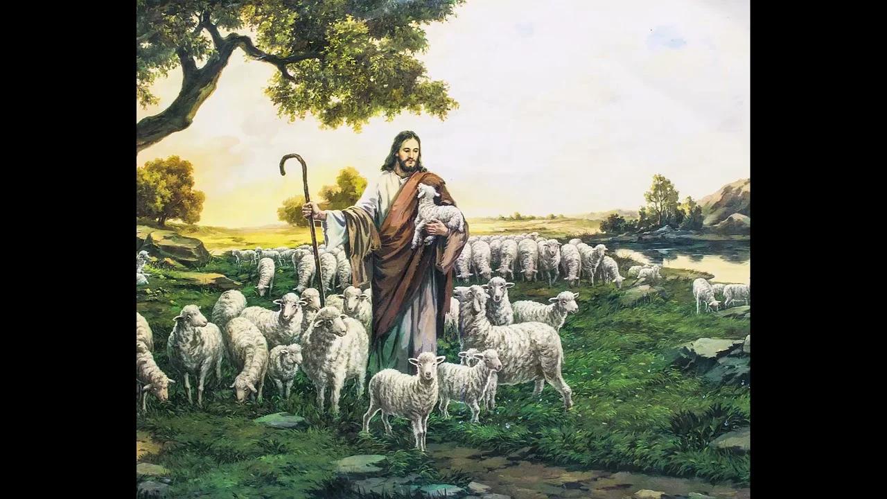 SHEPHERDS OF THE NATION