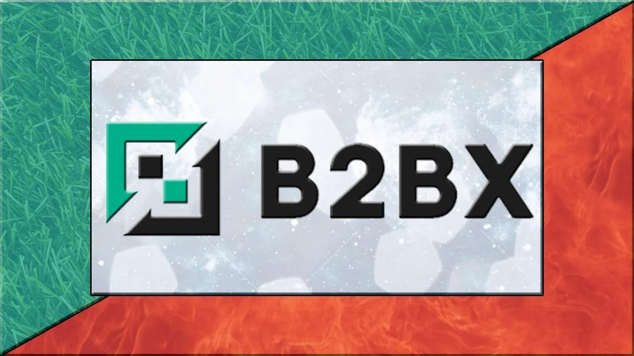 What is B2BX (B2B) - Explained