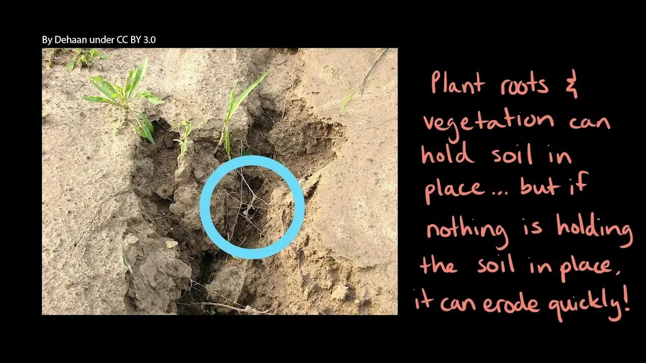 Weathering and erosion | Plate tectonics | Middle school earth and ...