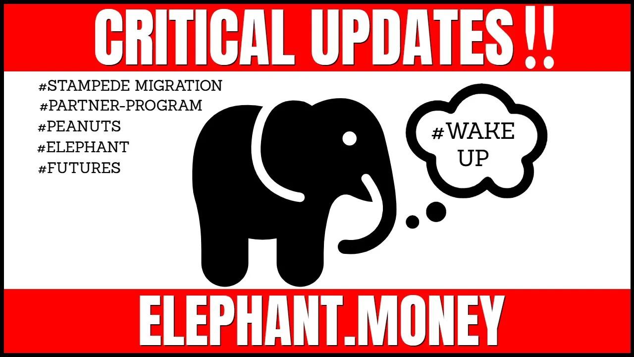 Elephant.Money Critical Updates