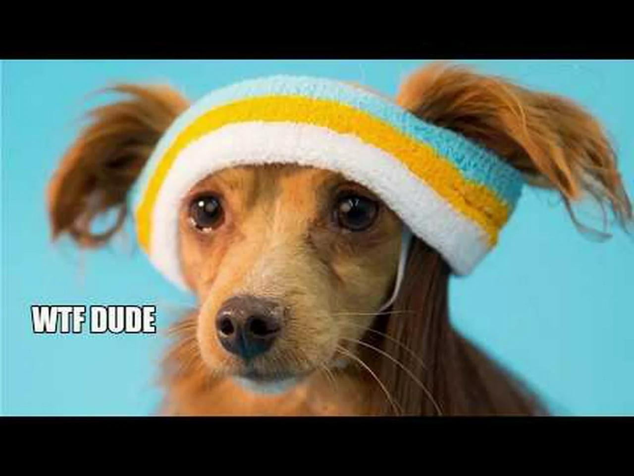 Top 10 STRANGE THINGS On AMAZON