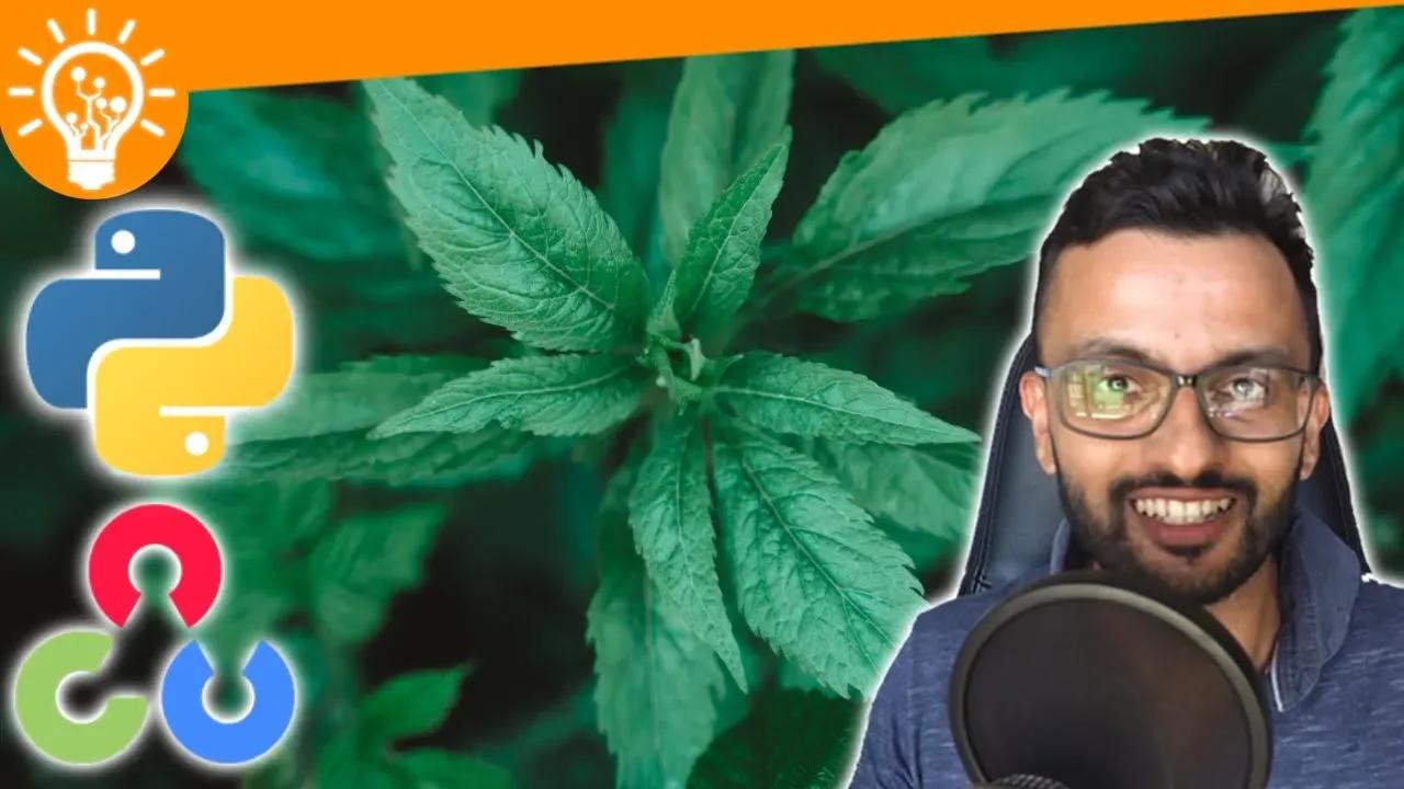 Python Weeds Detection using YOLOR - OpenCV | 2021