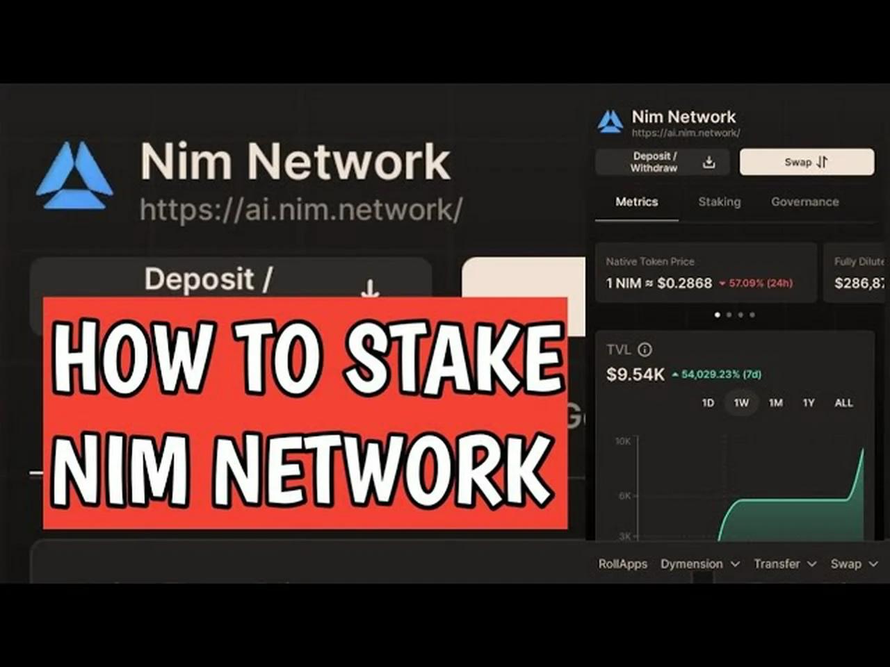 How stake NIM Network & how check your NIM airdrop