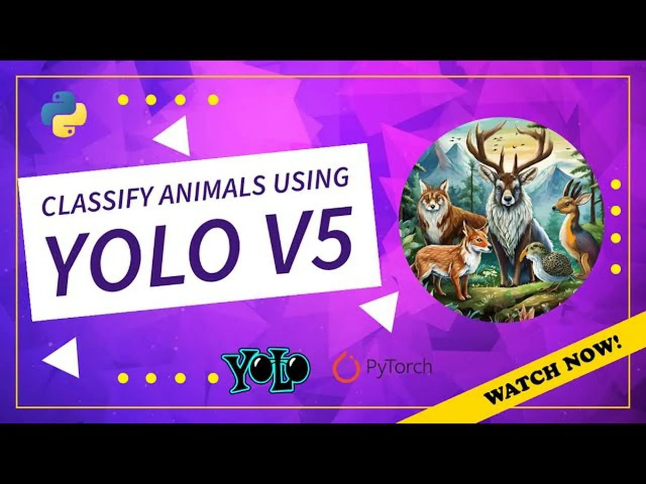 How to Classify Images using Pytorch Hub Yolov5 | Animals Classification Ultralytics YoloV5 tutorial