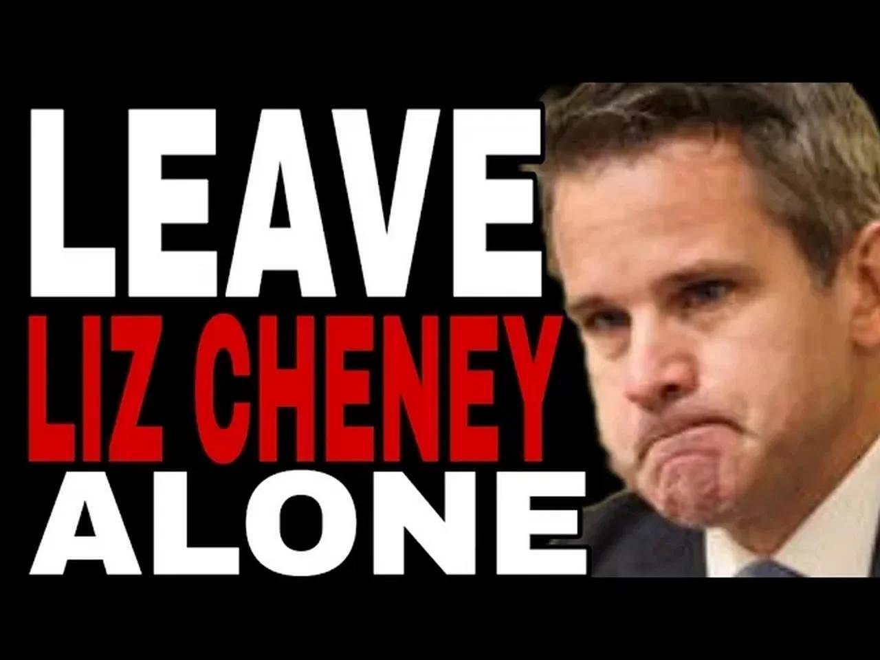CRYING ADAM KINZINGER HILARIOUSLY MELTDOWN OVER LIZ CHENEY