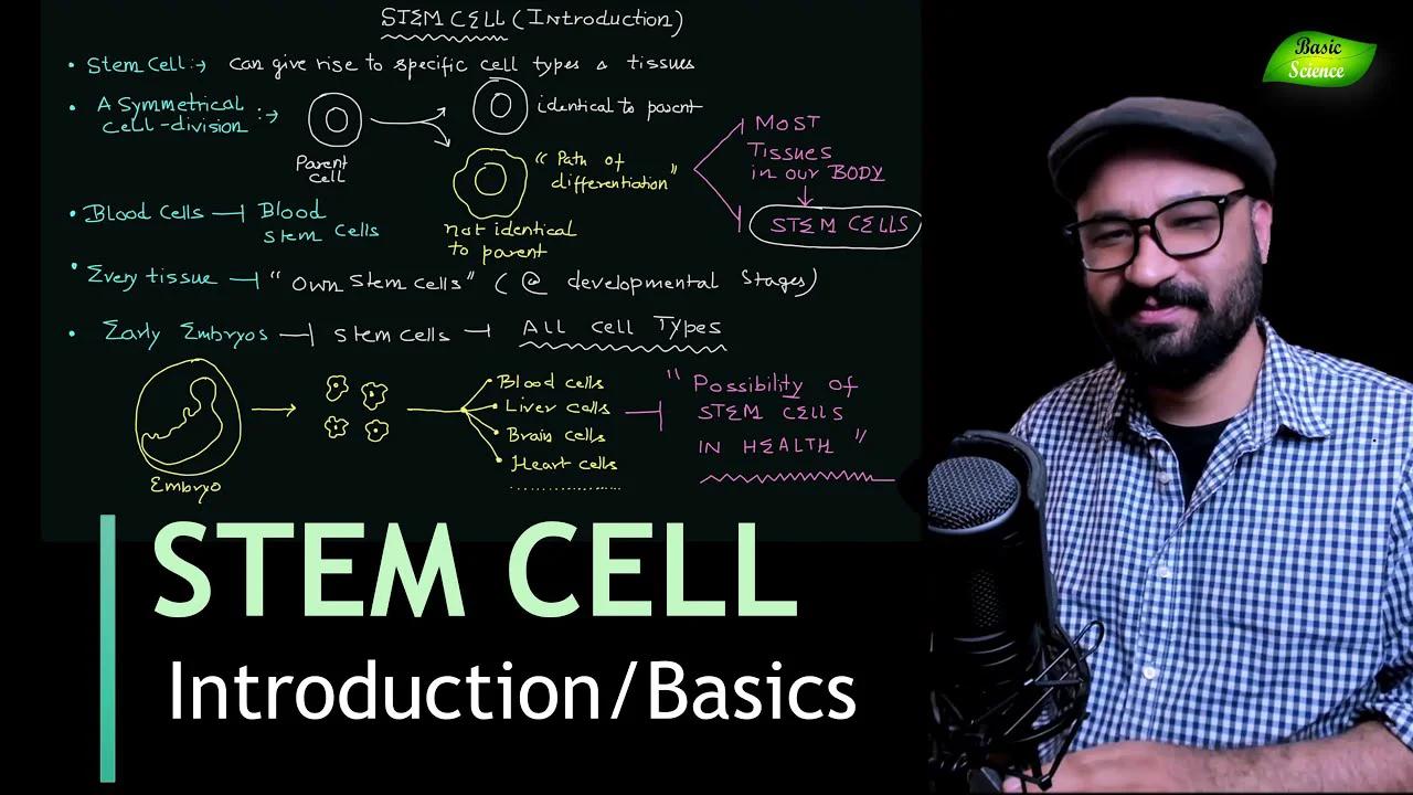STEM Cell | Basics | Development | Cell Biology | Basic Science Series