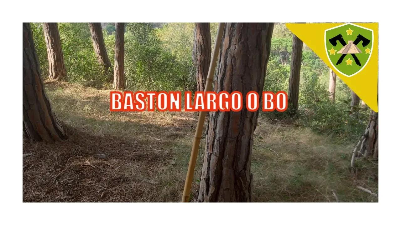 EL USO DEL BASTON LARGO COMO BASTON DE PEREGRINO (EL BO)