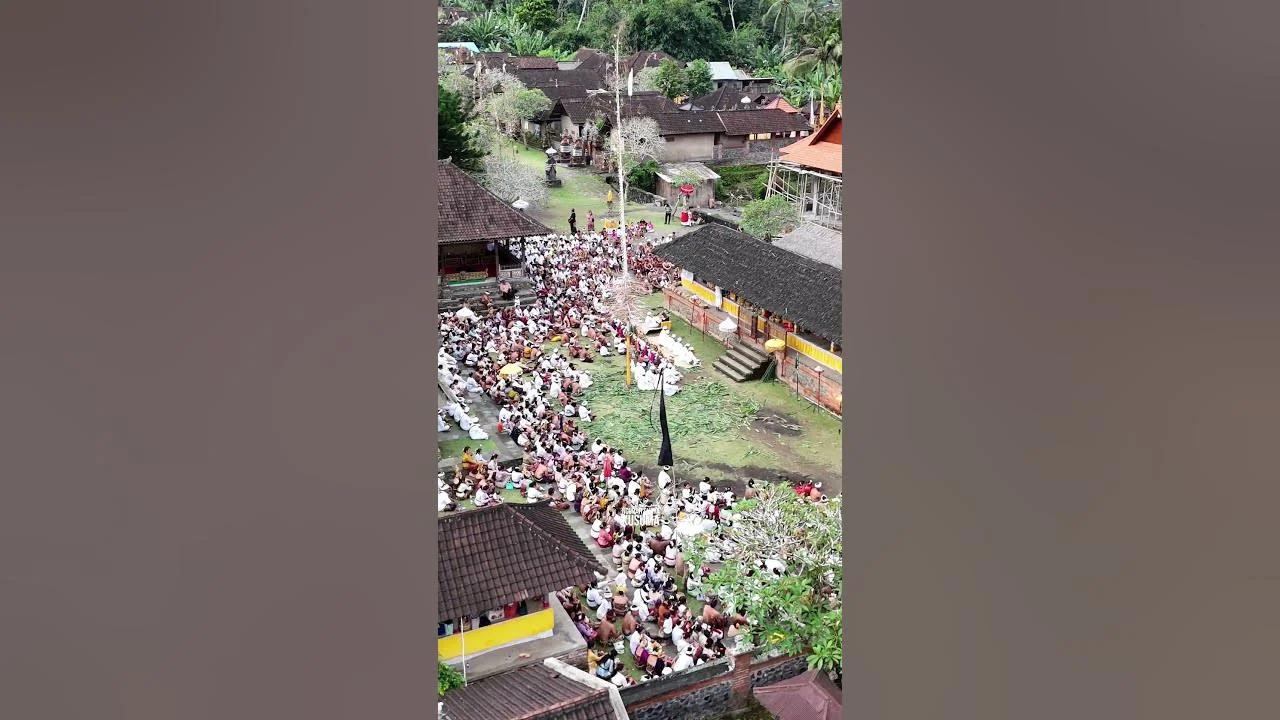 Perang Pandan Tenganan Dauh Tukad #PerangPandan #MekareKare # ...