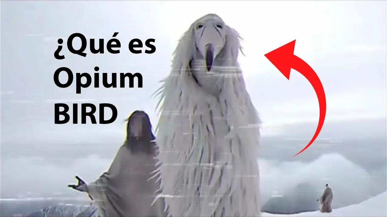 ¿Qué son los Opium Bird?