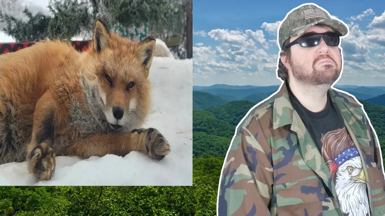 Finnegan Fox Friday - Finnegan Receives Ethan Pets (SaveAFox ...