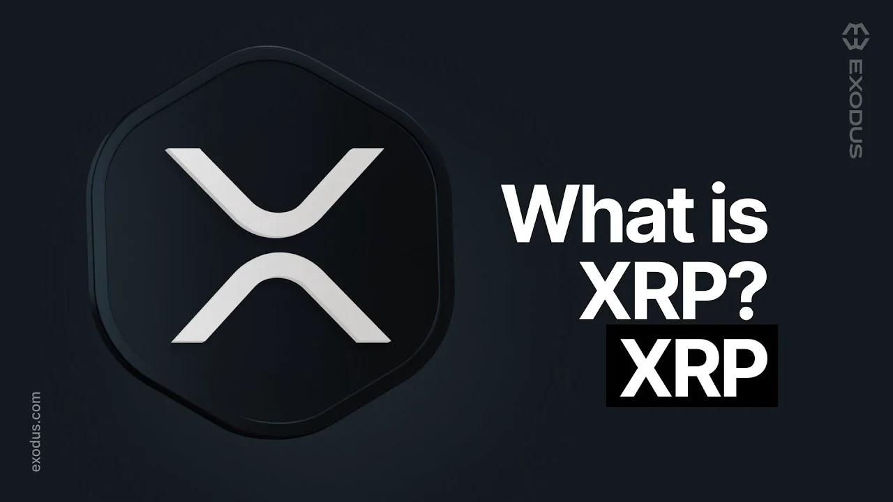 What is XRP? Ripple Explained - Beginner's Guide to Cryptocurrency 2024