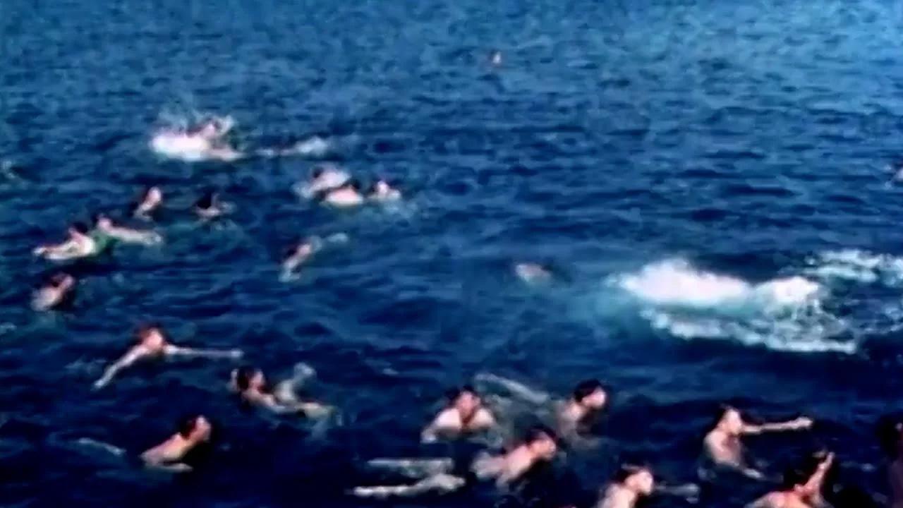 Life Aboard a Navy Destroyer: Documentary ca.1970