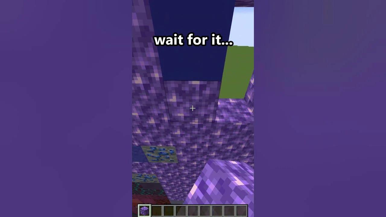 Minecraft: Remember Past Lives and Memories 🥺 #Shorts