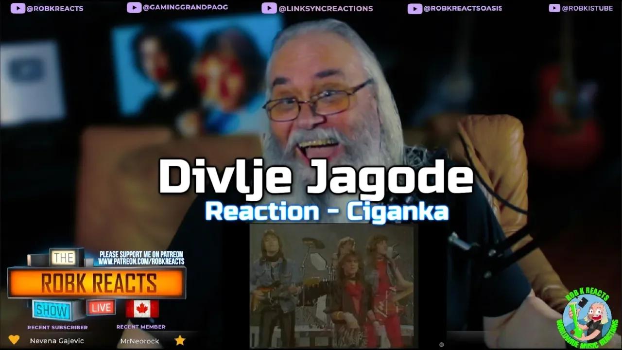 Divlje Jagode Reaction - Ciganka - First Time Hearing - Requested