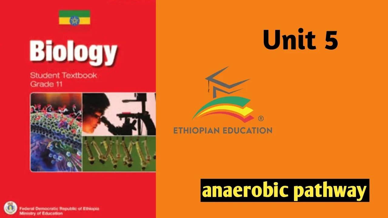 Ethiopian Grade 11 Biology Unit 5 anaerobic pathway