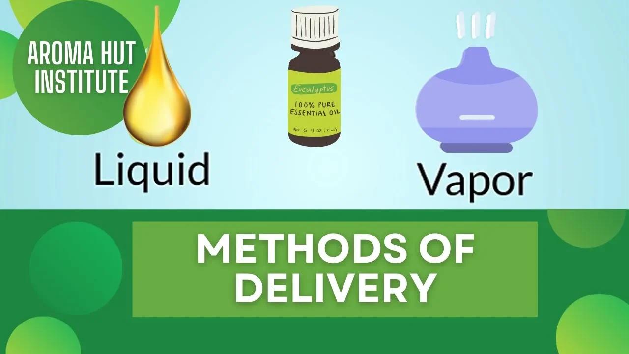 How Essential Oils Work in the Body | Delivery Methods of Essential Oils