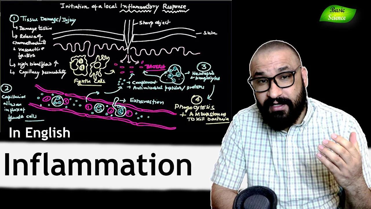 Inflammation| Immune System | CSIR-UGC NET Exam | Basic Science Series