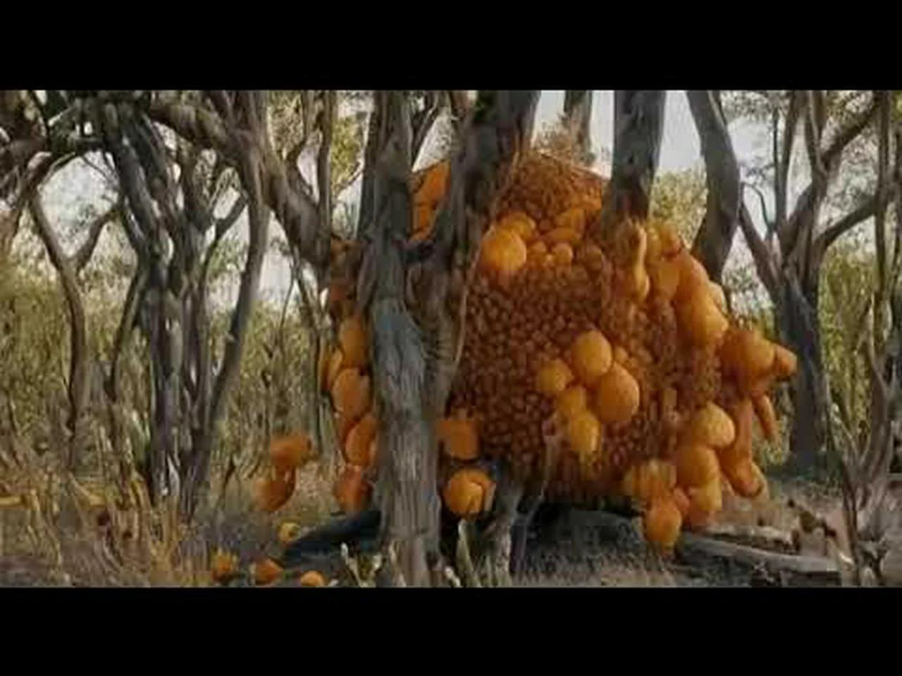 💀🍊🌳 Embrace the Decay: Human Adaptations for Coexistence 🏞️🩺🔬