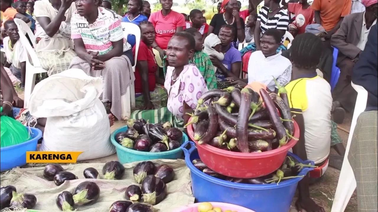 Karamoja food security - Abim, Karenga of Karamoja supported with vital ...