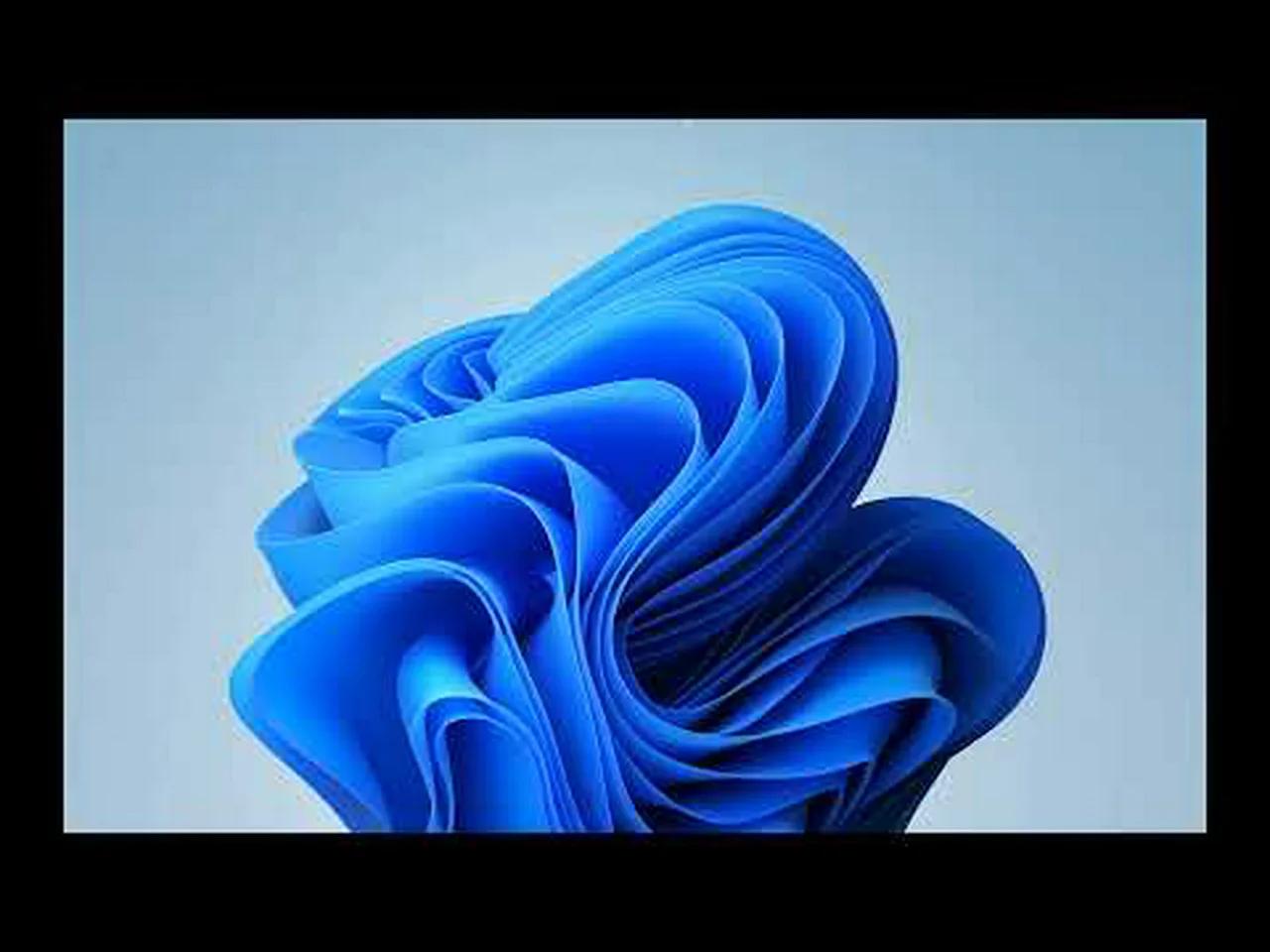 The Evolution Of the Windows Default Wallpaper 2