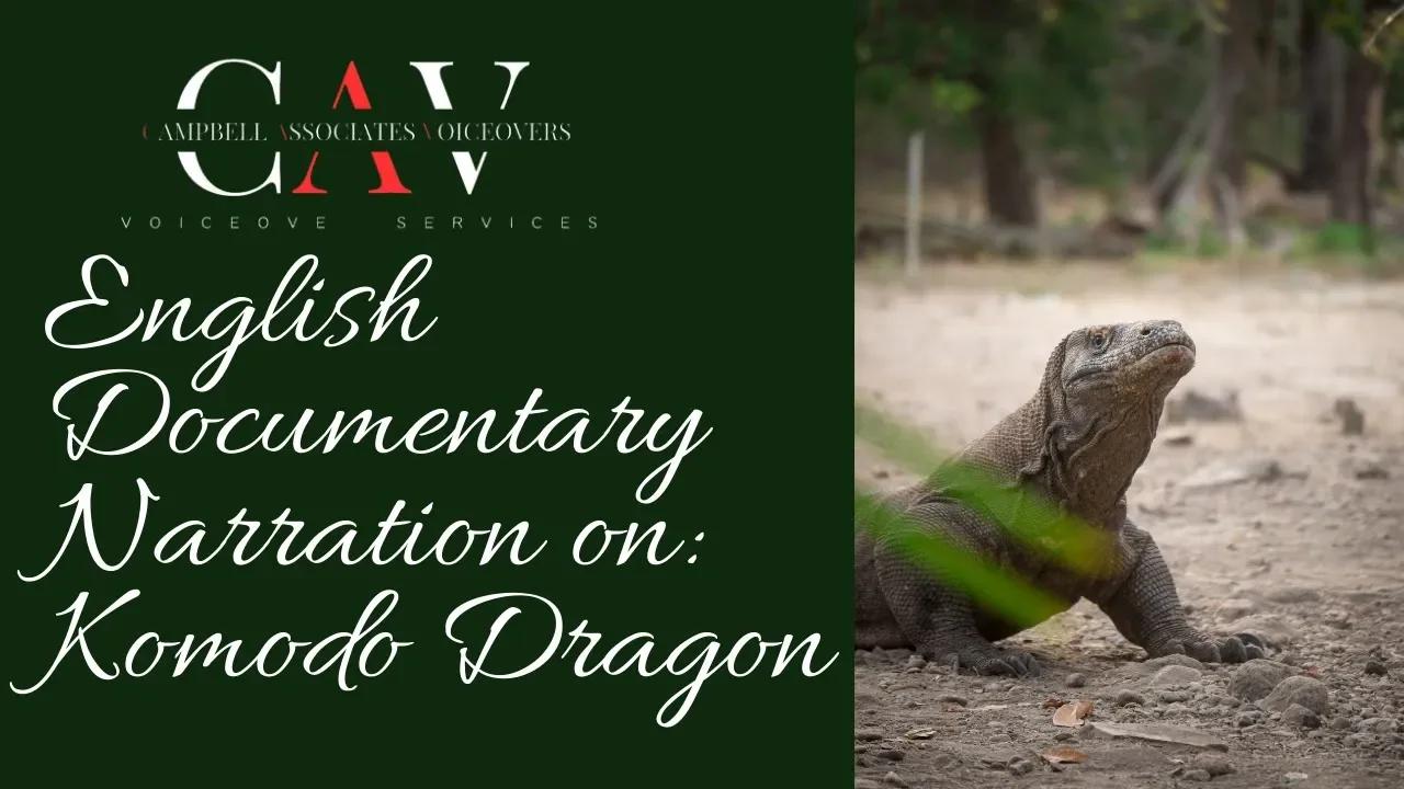 Komodo Dragon The Giant Lizard | कोमोडो ड्रैगन विशालकाय छिपकली ...