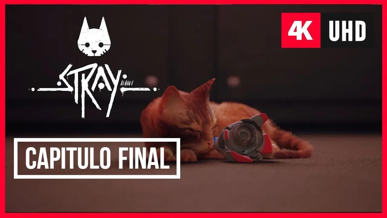 Stray | PC 4K UHD | Gameplay Español | JUEGO COMPLETO | Capitulo 4 Final