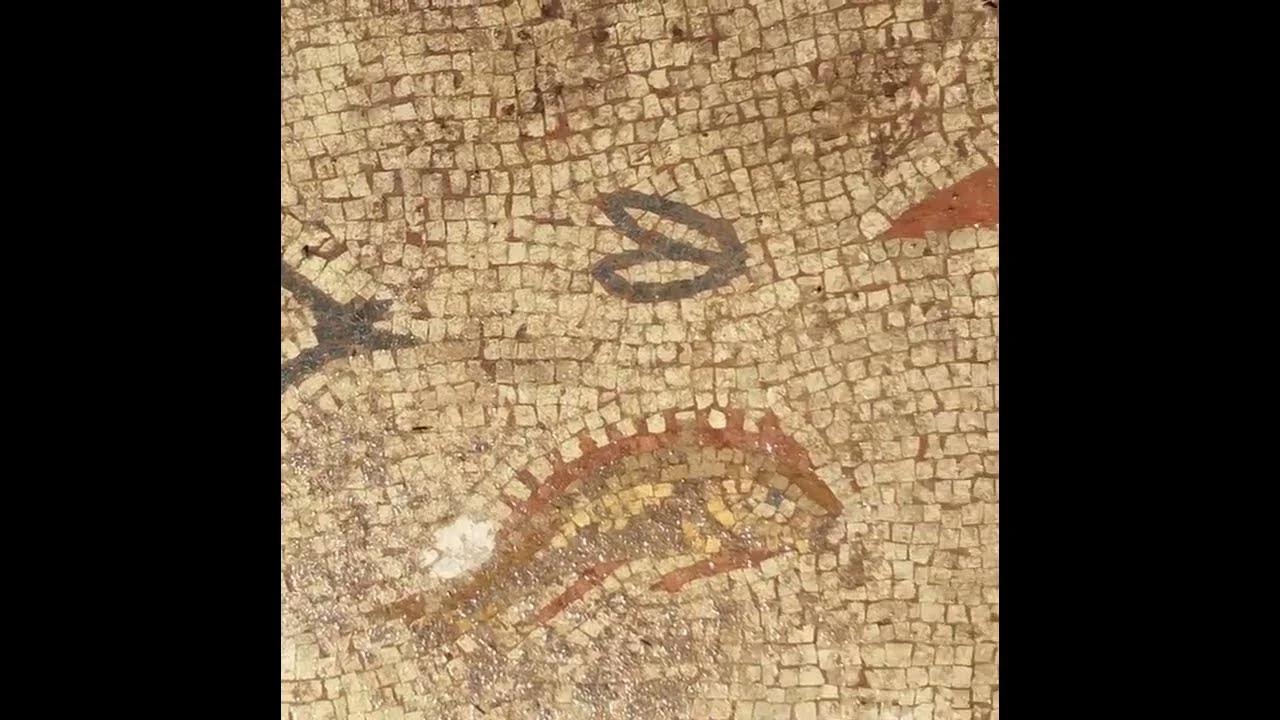 Amazing 2,000-year-old Roman mosaic depicting dolphins and fish ...
