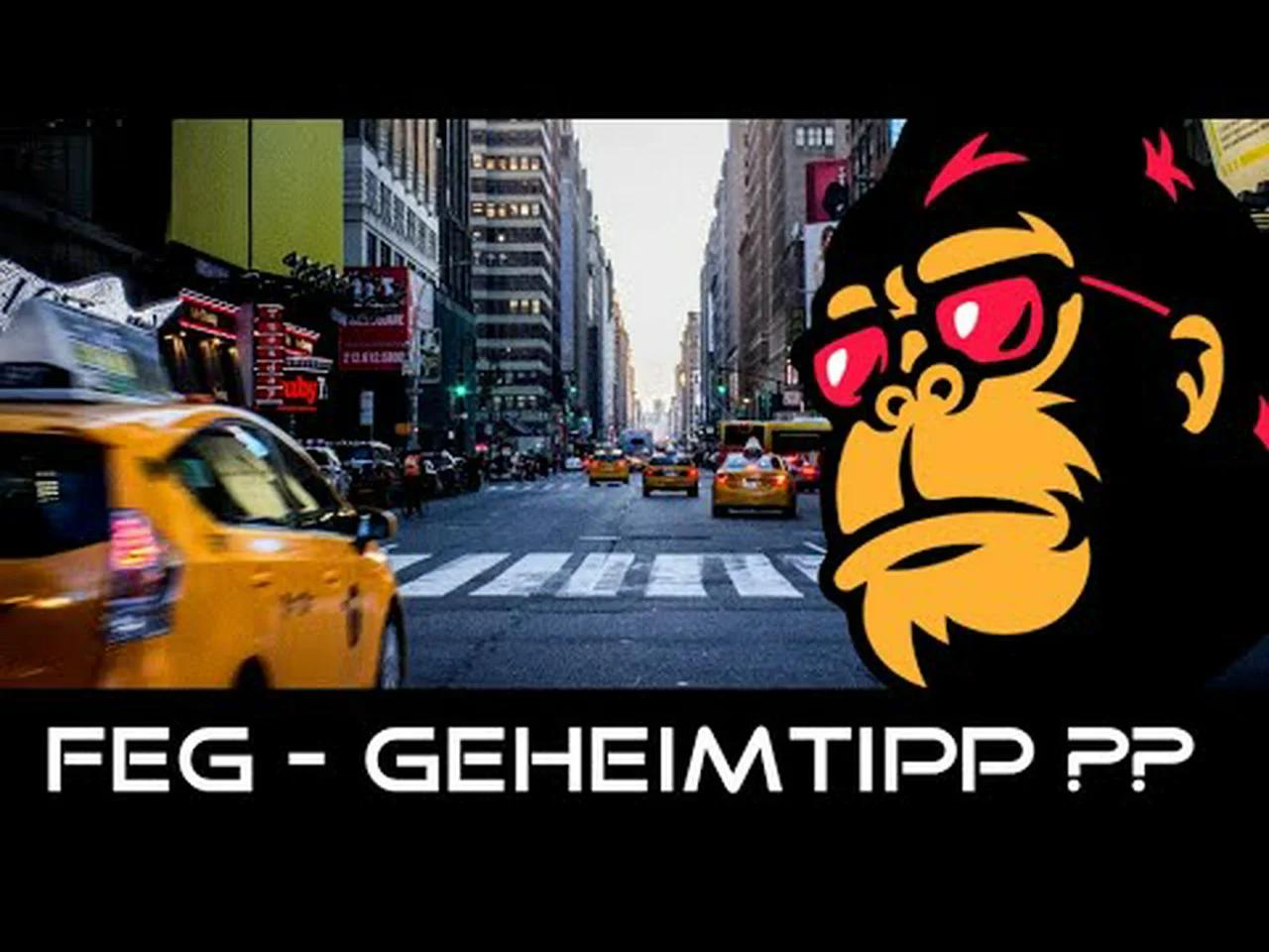 Der neue Geheimtipp: FEG - Feed Every Gorilla Token