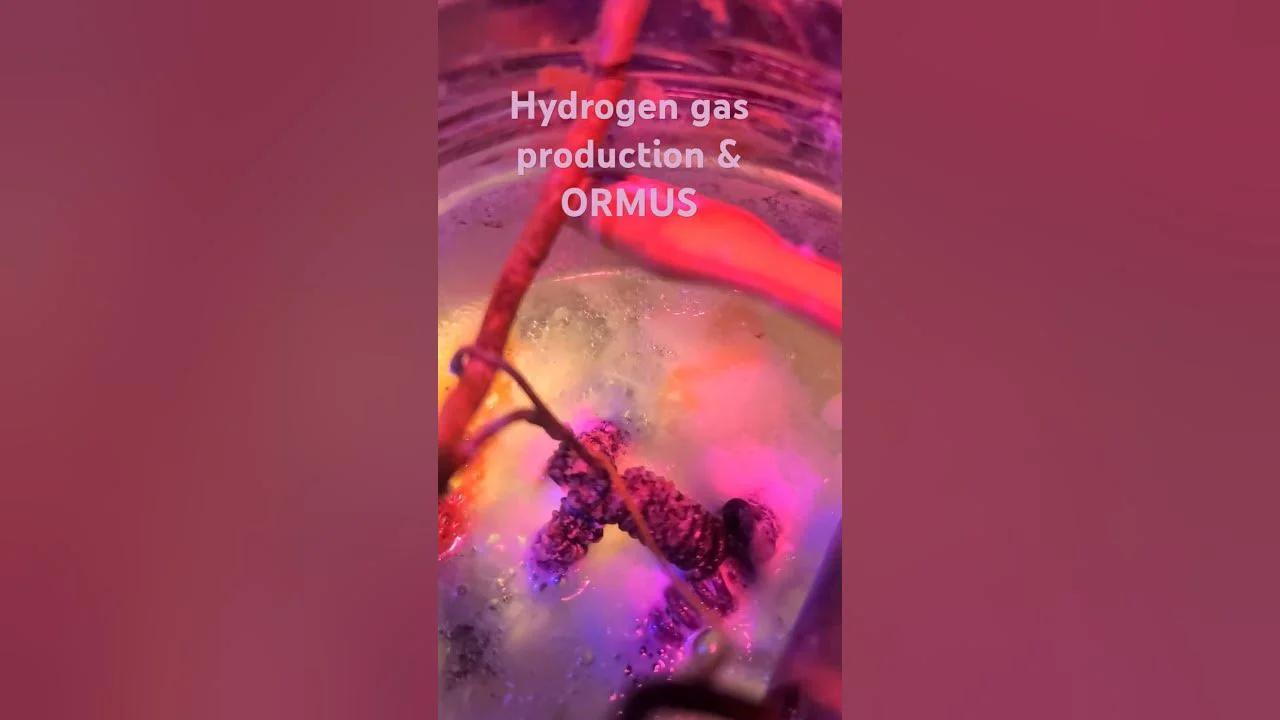 Electrolysis Experiments with Hydrogen fuel cells and Making #ORMUS
