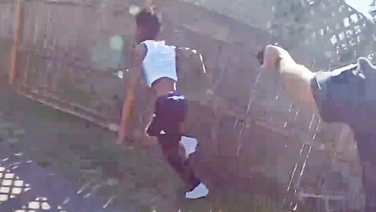 Suspect Gets Tased After He Rams Police Car While Attempting To Flee