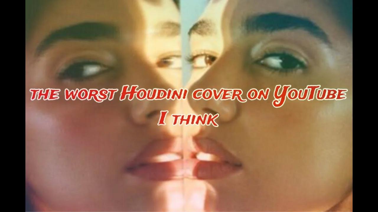 Dua Lipa - Houdini (Cover)