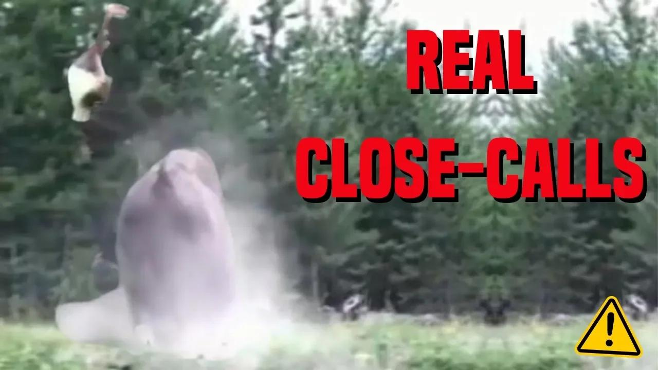 10 Insane Wild Animal Encounters That Were Caught On Camera