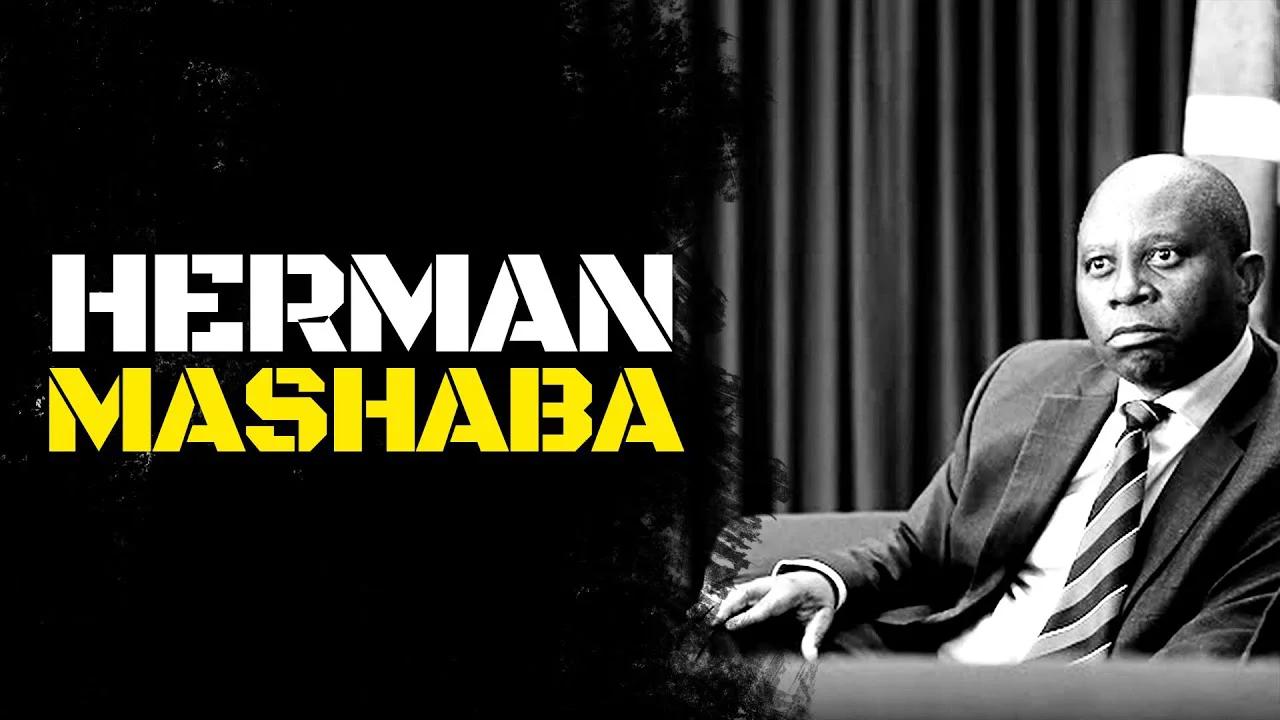 Herman Mashaba interview (2020)