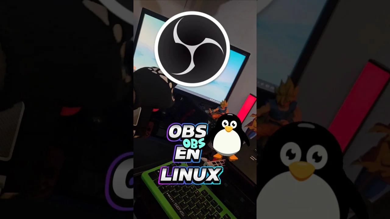 Instalar OBS en Linux fácil y rápido #linux #informatica #sistemas #windows #obs #tecnologia