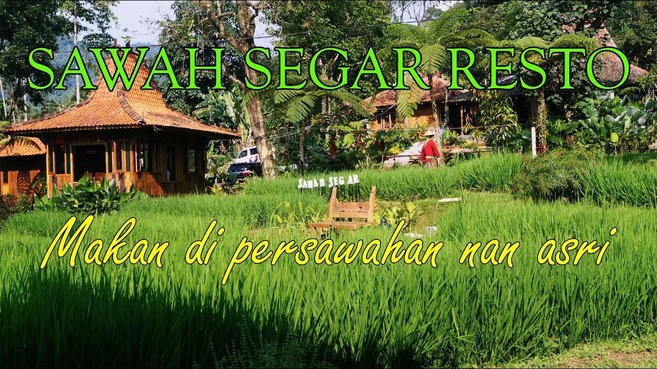 Sawah Segar Sentul Bogor - Makan di Resto Sawah Yang Asri - Udara Sejuk ...