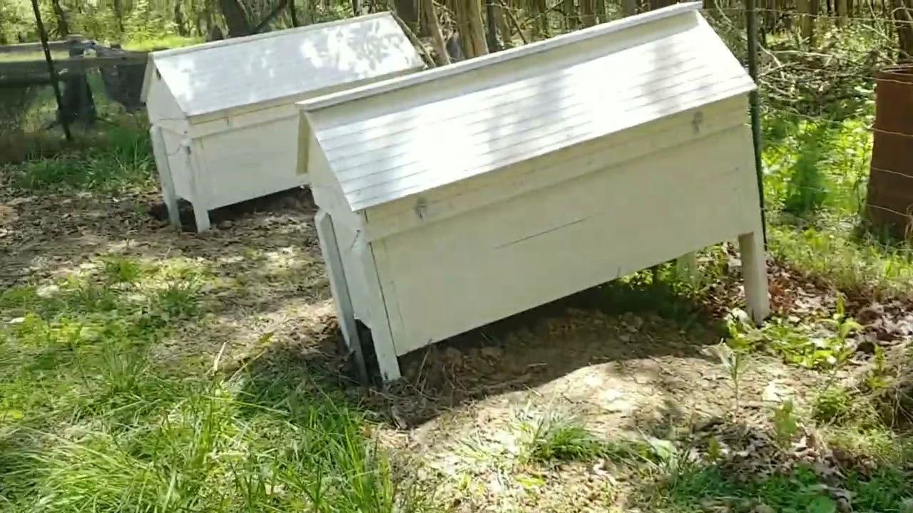 checking new langstroth long & laystroth hives with carniolan, saskatraz, vsh bees #long #hive #bee