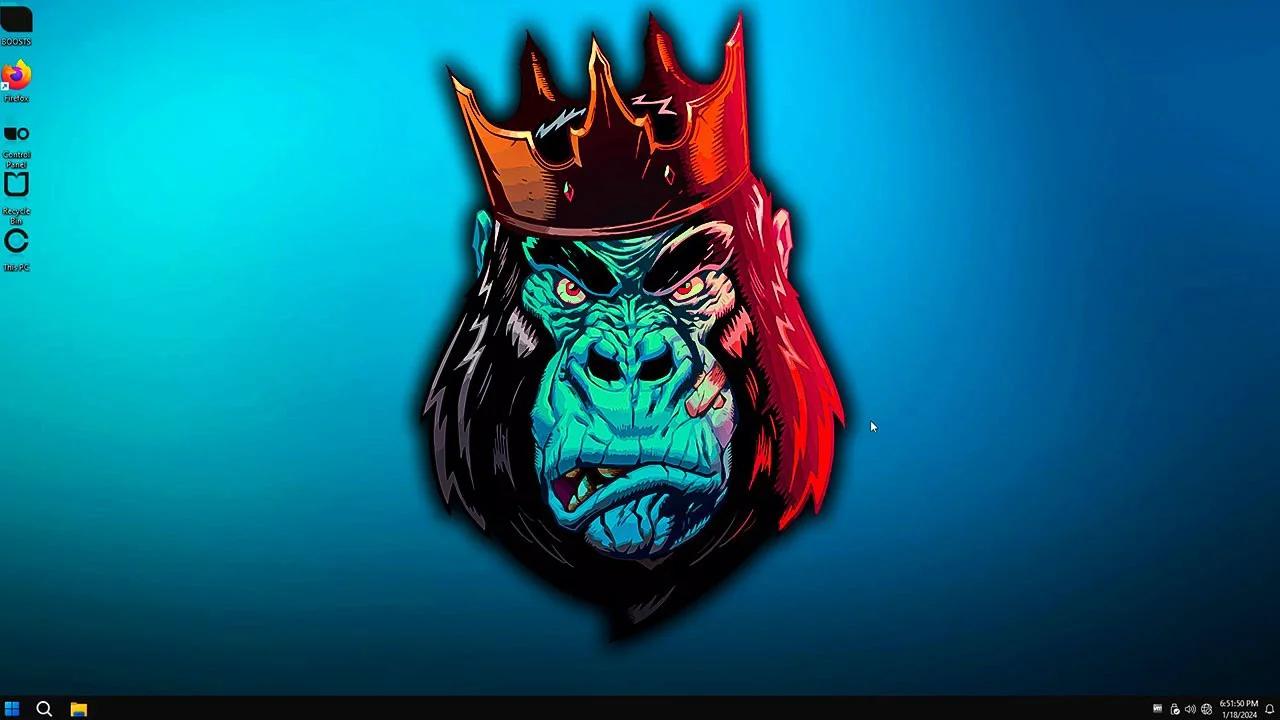 🦍GORILLA OS - WINDOWS 11 LITE 23H2 BY TEAM OS