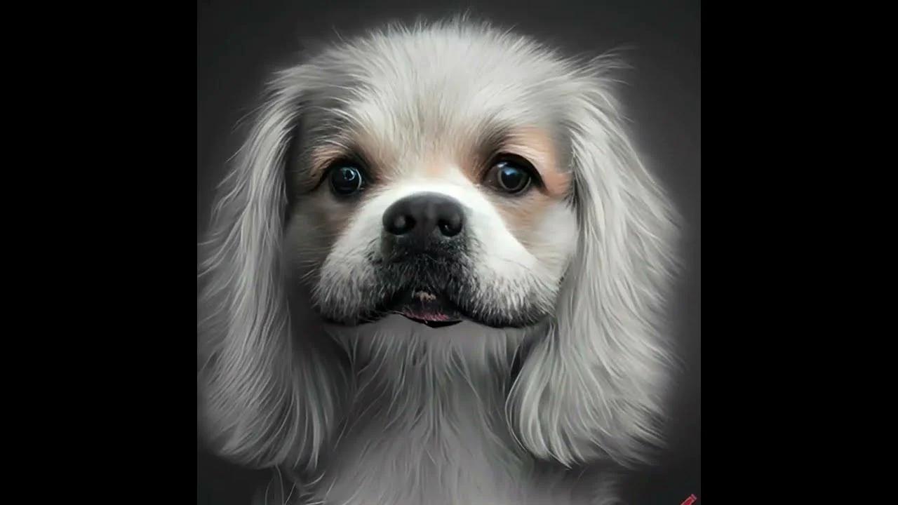 Witness the Beauty of the World's Cutest Dog in Stunning Hyperrealistic ...