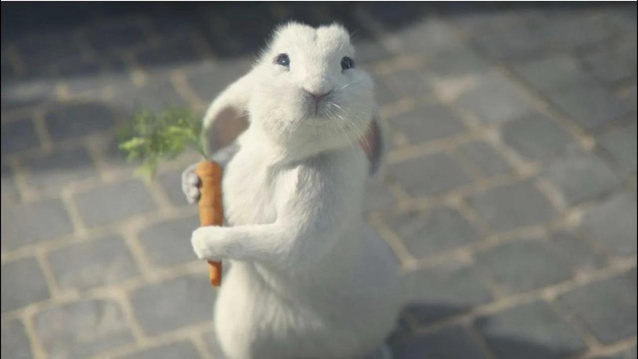 Follow the White Rabbit Military Operation (Plus, a Brunson Reaction ...